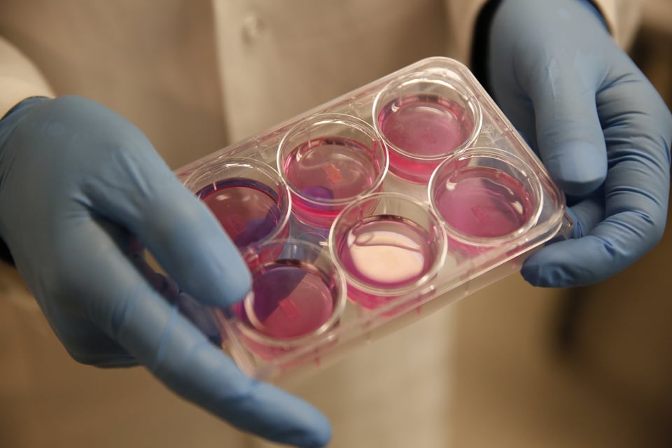 Have you already had to respond to any moral or legal restrictions ...