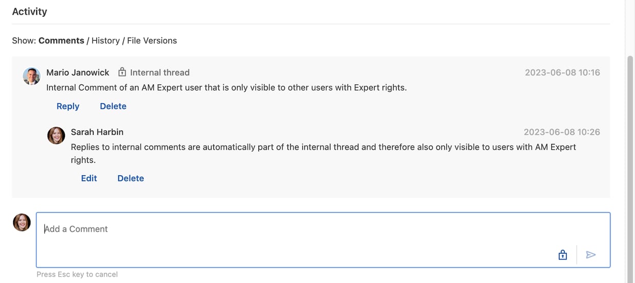 Pictured: Internal comments for experts, invisible to end-users or ...