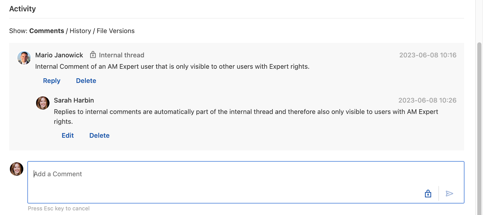 Pictured: Internal comments for experts, invisible to end-users or ...